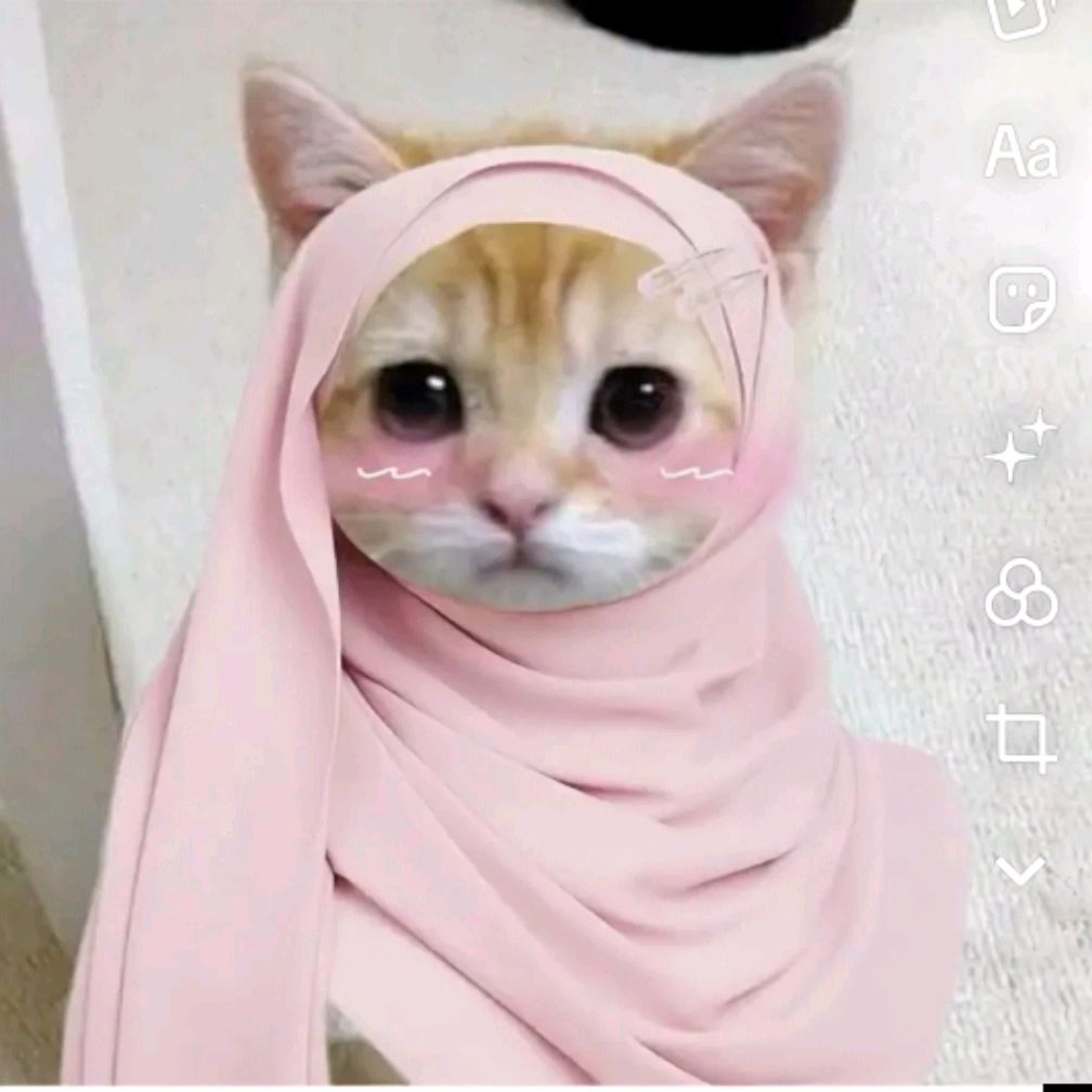 Иконка канала 💝ꏂ꒒ ꍌꋬ꓄ꄲ🍞🐱🐈🫪😻🍃