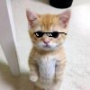 Иконка канала channel77903109