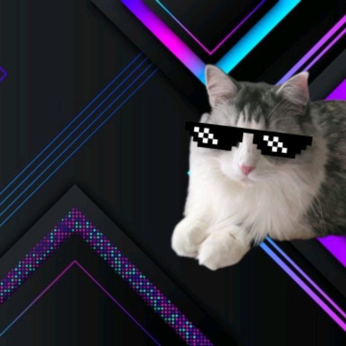 Иконка канала SIGMA CAT