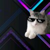 Иконка канала SIGMA CAT