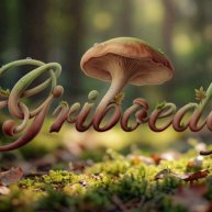 Иконка канала ГрибоедоФ