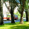 Иконка канала Паша - Чикенган/Лего