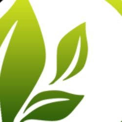 Иконка канала Зеленые Стратегии