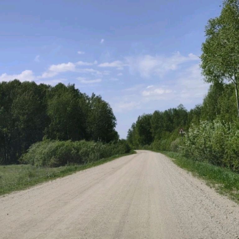 Иконка канала Тропы Залесного