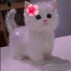 Иконка канала 🥳★...(!)...(★)Мuсс Соня....(!)....★💅