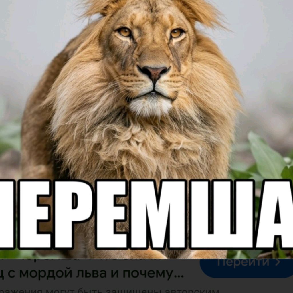 Иконка канала Черемша