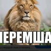 Иконка канала Черемша