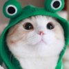 Иконка канала 🦩🌸~(KATIE EREMINA)~🍉🐢