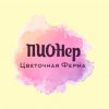 Иконка канала ПИОНер Цветочная Ферма