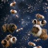 Иконка канала Космо 🌎🌌