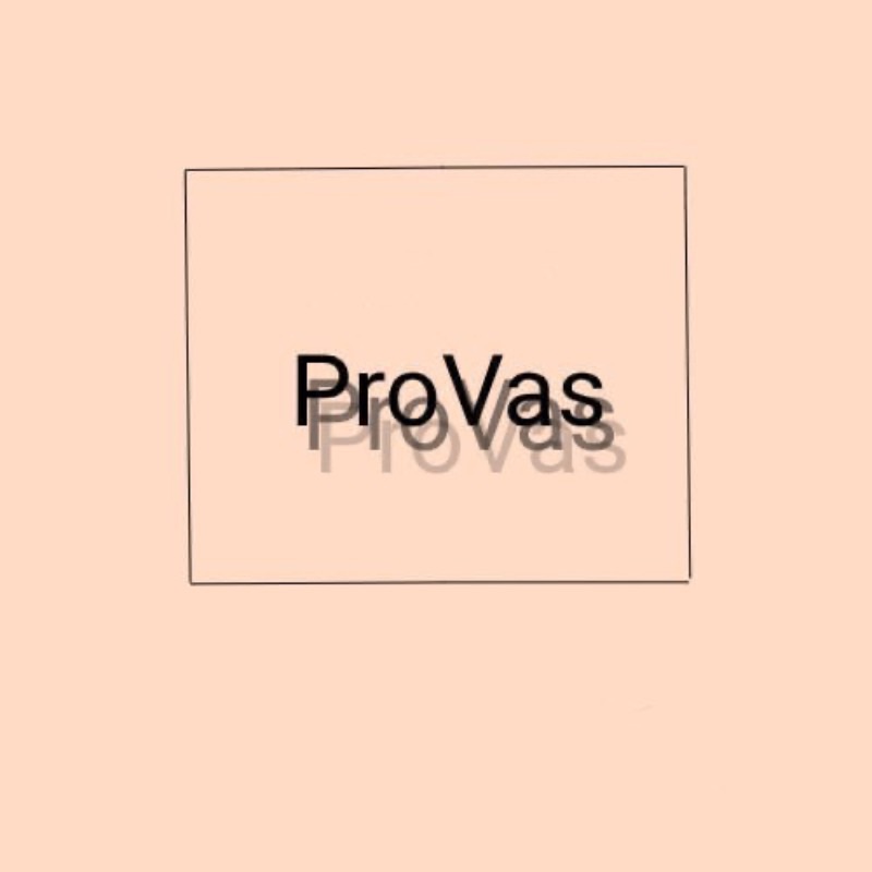 Иконка канала ProVas
