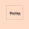 Иконка канала ProVas