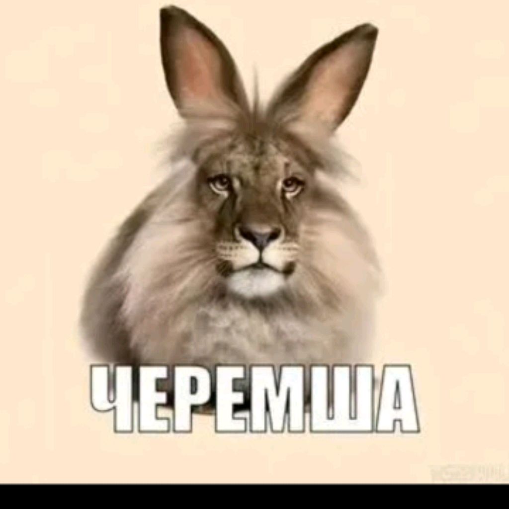 Иконка канала Черемша666
