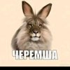 Иконка канала Черемша666