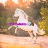 Иконка канала 🌊\♡🐧 КСК Collekta🐧\♡🌊 🦉🦄