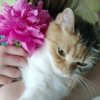 Иконка канала ! Мусяндия!