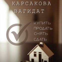 Иконка канала Agent07