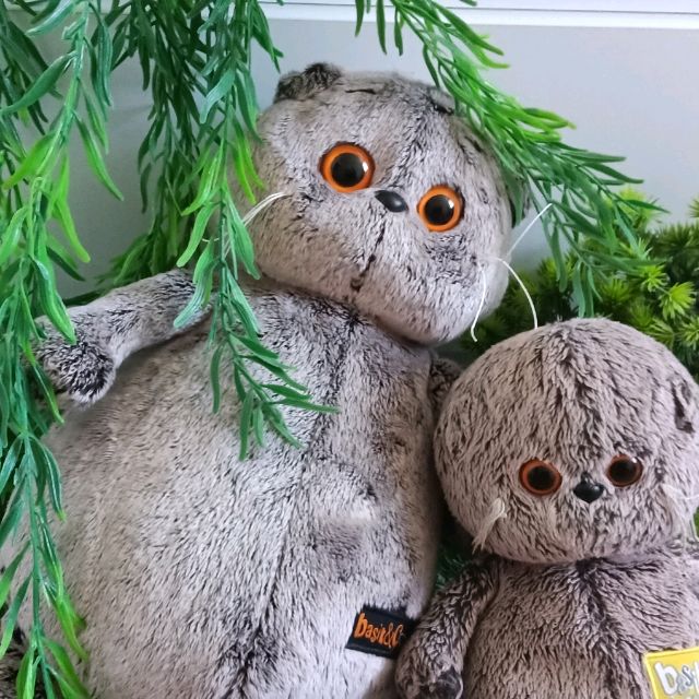 Иконка канала 🏞️Истории Басиков 🐈♥️