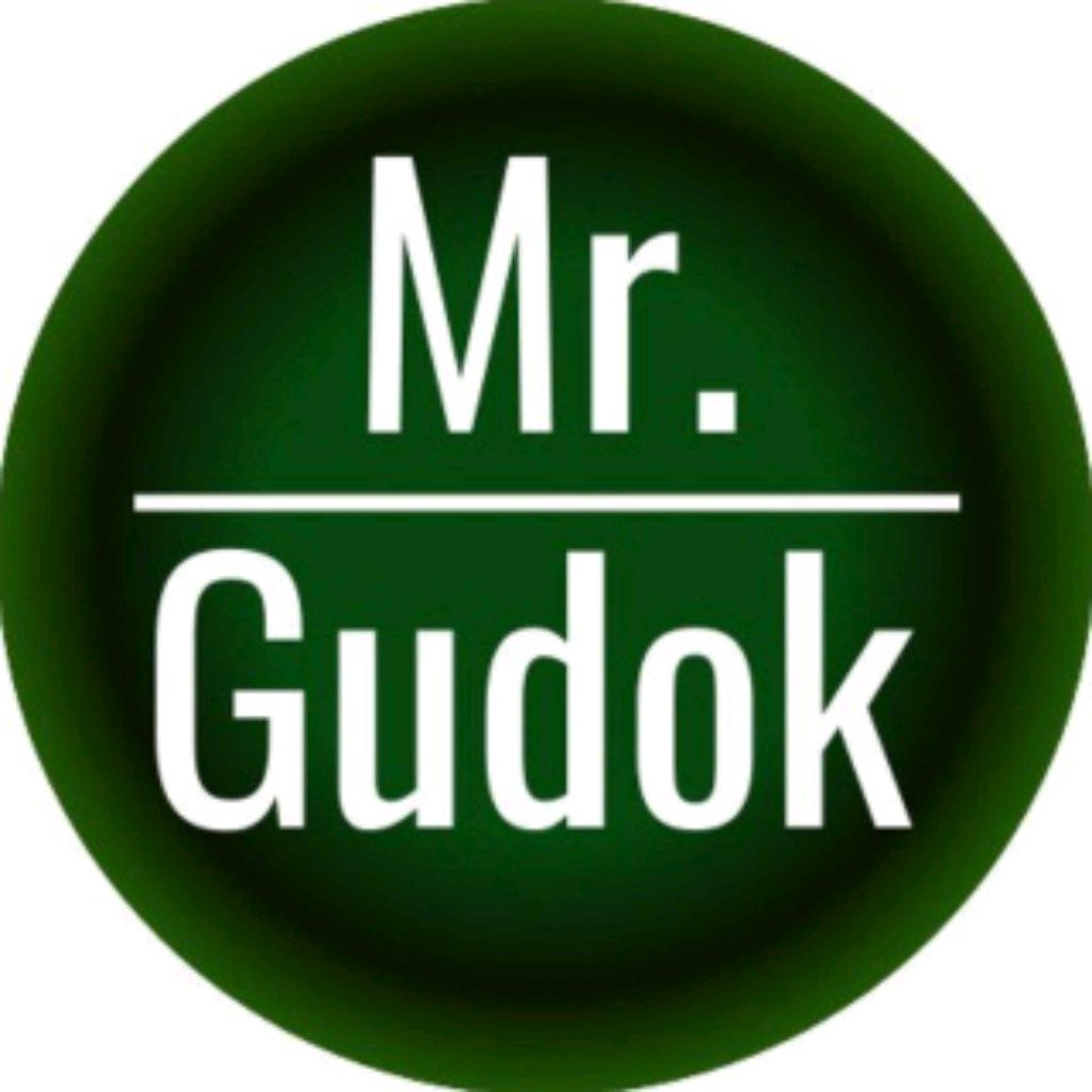 Иконка канала Mr GUDOK