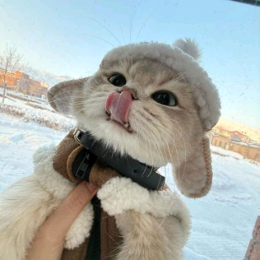 Иконка канала Idntknw_gd