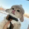Иконка канала Idntknw_gd