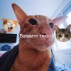 Иконка канала Котейка