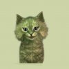 Иконка канала Cats Ava