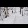 Иконка канала channel79008098