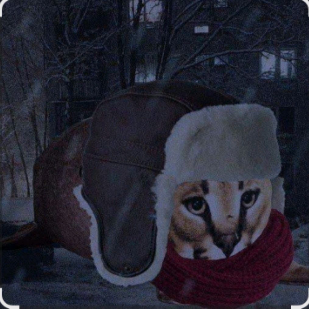 Иконка канала 🦉🦉🦅 шлёпа и Скебоб 🇷🇺🇷🇺🐻