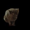 Иконка канала кот Анфиса эт