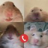 Иконка канала Данилус