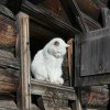 Иконка канала Музыка