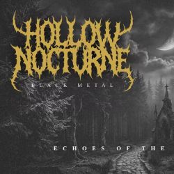 Иконка канала hollow nocturne-это тема