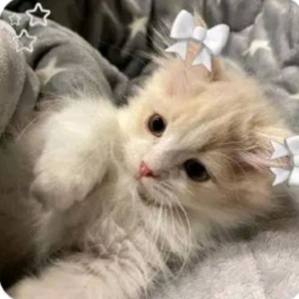 Иконка канала Лера🎀^^