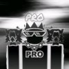 Иконка канала PRO