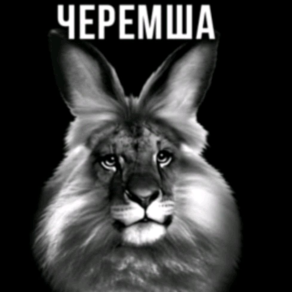 Иконка канала Призидент Черемше Града