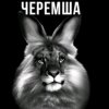 Иконка канала Призидент Черемше Града