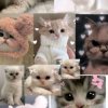 Иконка канала Милана Луквей
