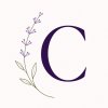 Иконка канала Студия декора САЛЬВИЯ