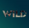 Иконка канала Wild discovery