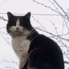 Иконка канала channel79057246
