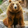 Иконка канала Фонд SCP