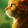 Иконка канала 🏴🐱Котик Миша🐱🏳
