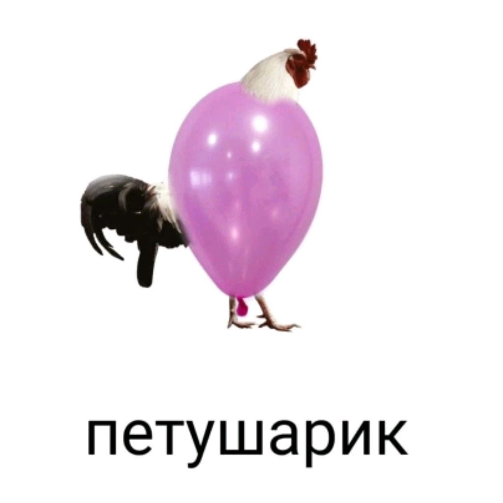 Иконка канала 🫪Сменарики👽