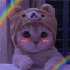 Иконка канала К♡тя котик