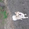 Иконка канала Димка Невидимка
