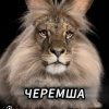 Иконка канала Стёпа 8960 протитиститер ультра мега Макс 100.6.7
