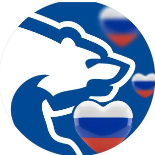 Иконка канала ЕДИНАЯ РОССИЯ | Пермский край