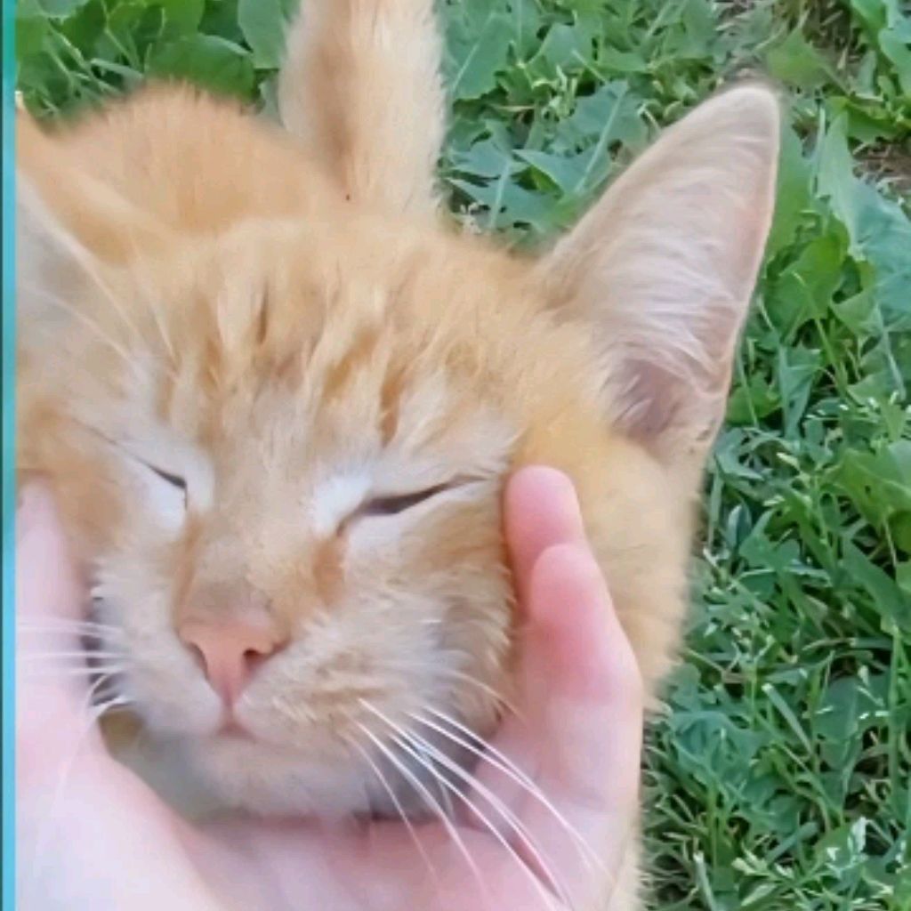 Иконка канала ♡мурка♡