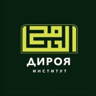 Иконка канала Diroya_Institute